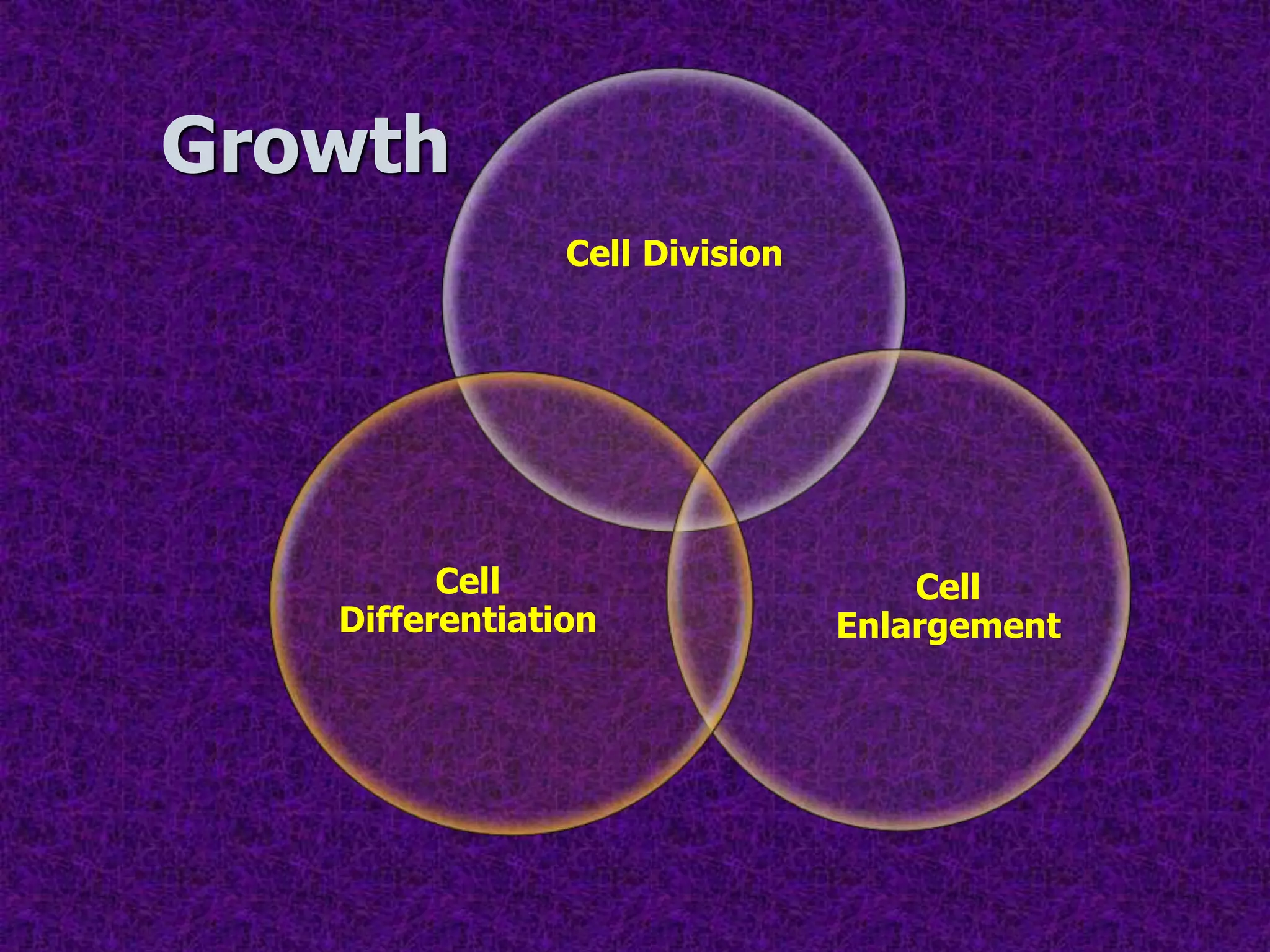 Physiology of growth and development of pome and stone fruits | PDF