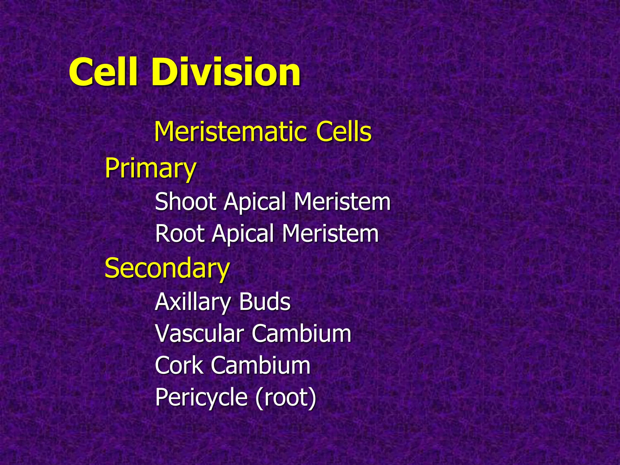 Physiology of growth and development of pome and stone fruits | PDF
