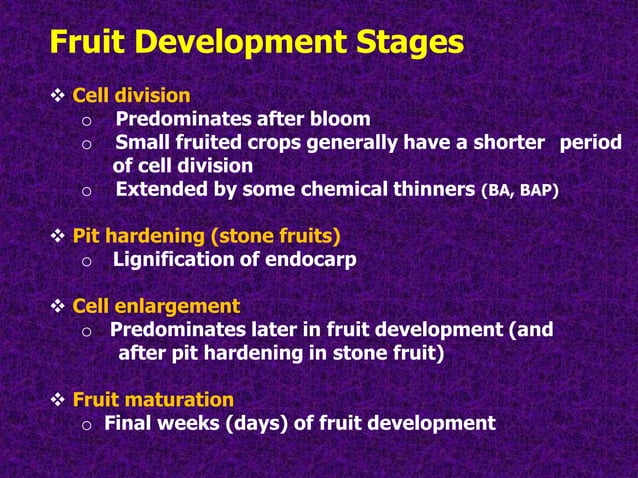 Physiology of growth and development of pome and stone fruits | PDF