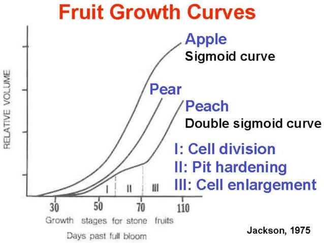 Physiology of growth and development of pome and stone fruits | PPT