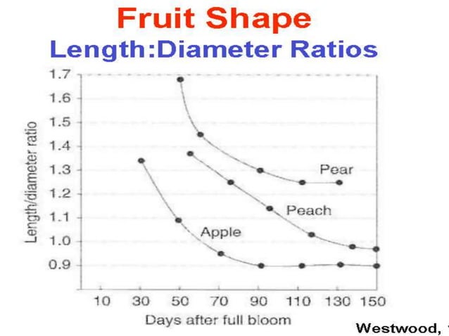 Physiology of growth and development of pome and stone fruits | PDF