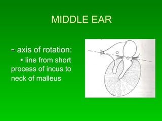 Physiology Of Hearing | PPT