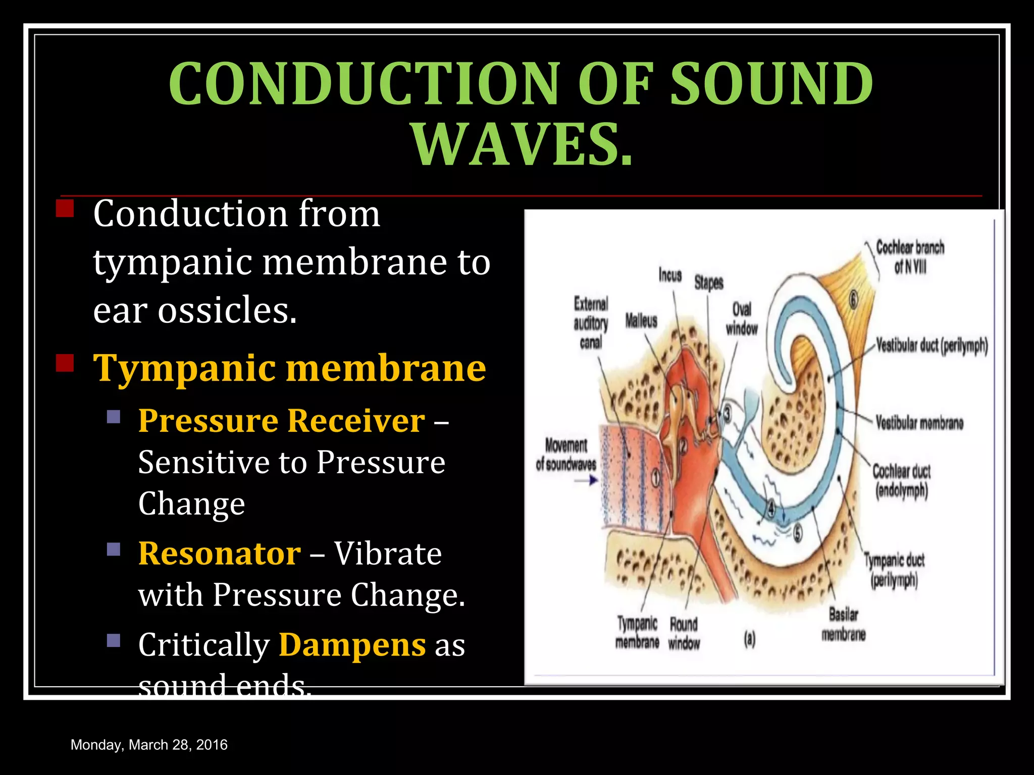 physiologyofhearing-160328171804.pdf