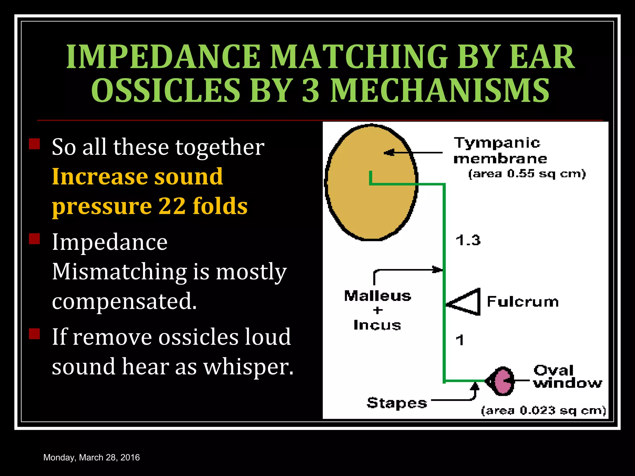 physiologyofhearing-160328171804.pdf