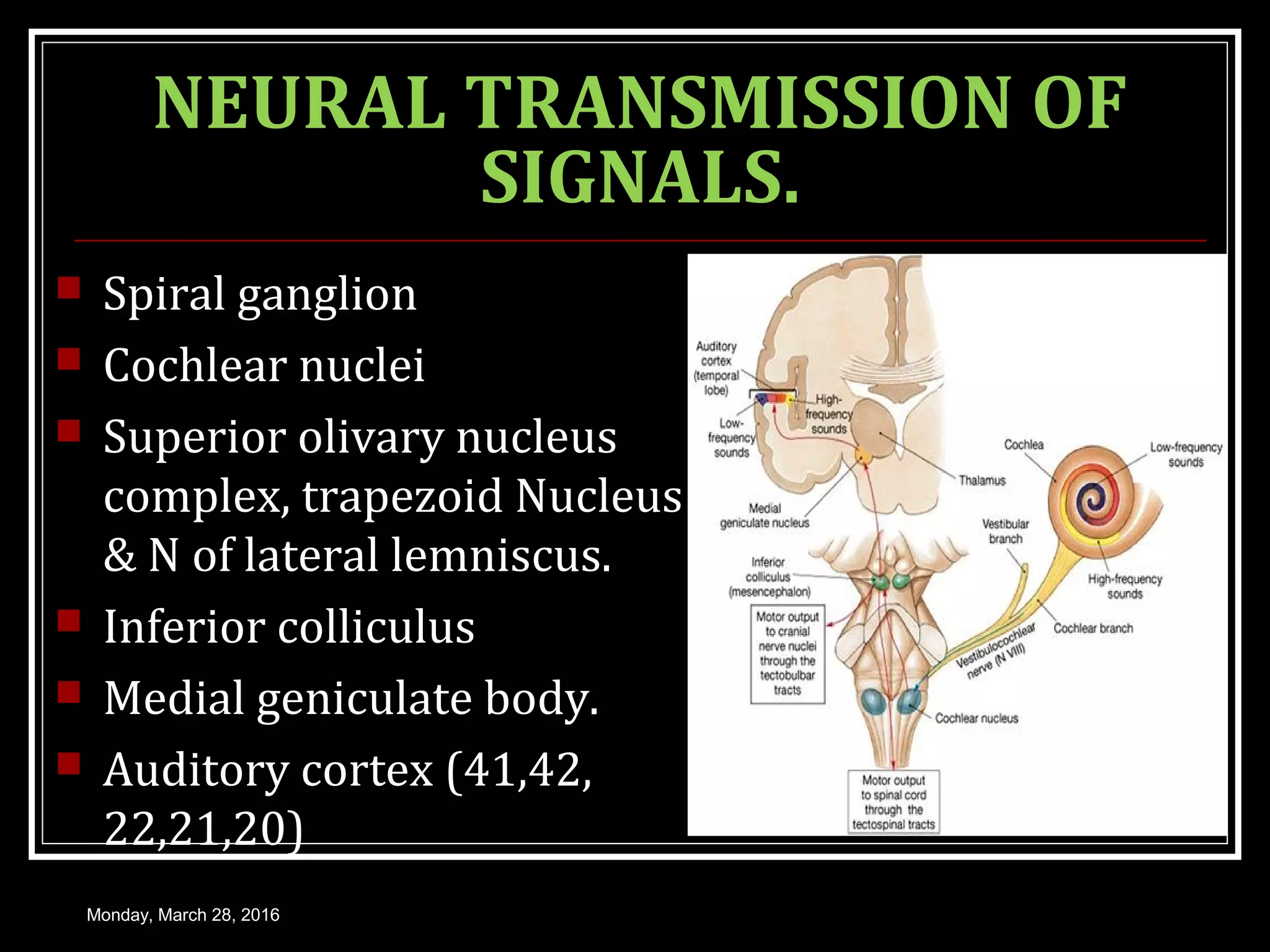 Physiology of hearing | PPT
