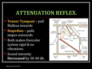 Physiology of hearing | PPT