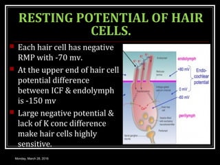 Physiology of hearing | PPT