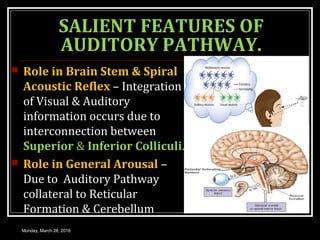Physiology of hearing | PPT