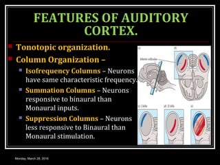 Physiology of hearing | PPT