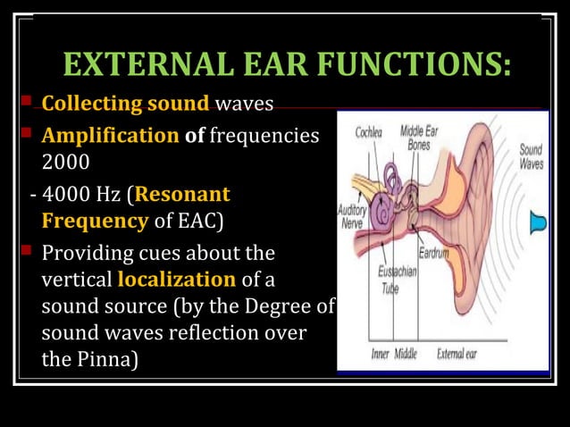 Physiology of hearing