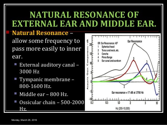Physiology of hearing