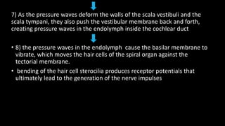 Physiology of hearing | PPTX
