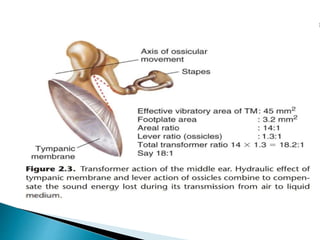 PHYSIOLOGY OF HEARING.pptx