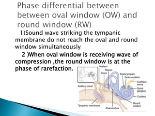 PHYSIOLOGY OF HEARING.pptx | Digital Audio | Computer Software and ...
