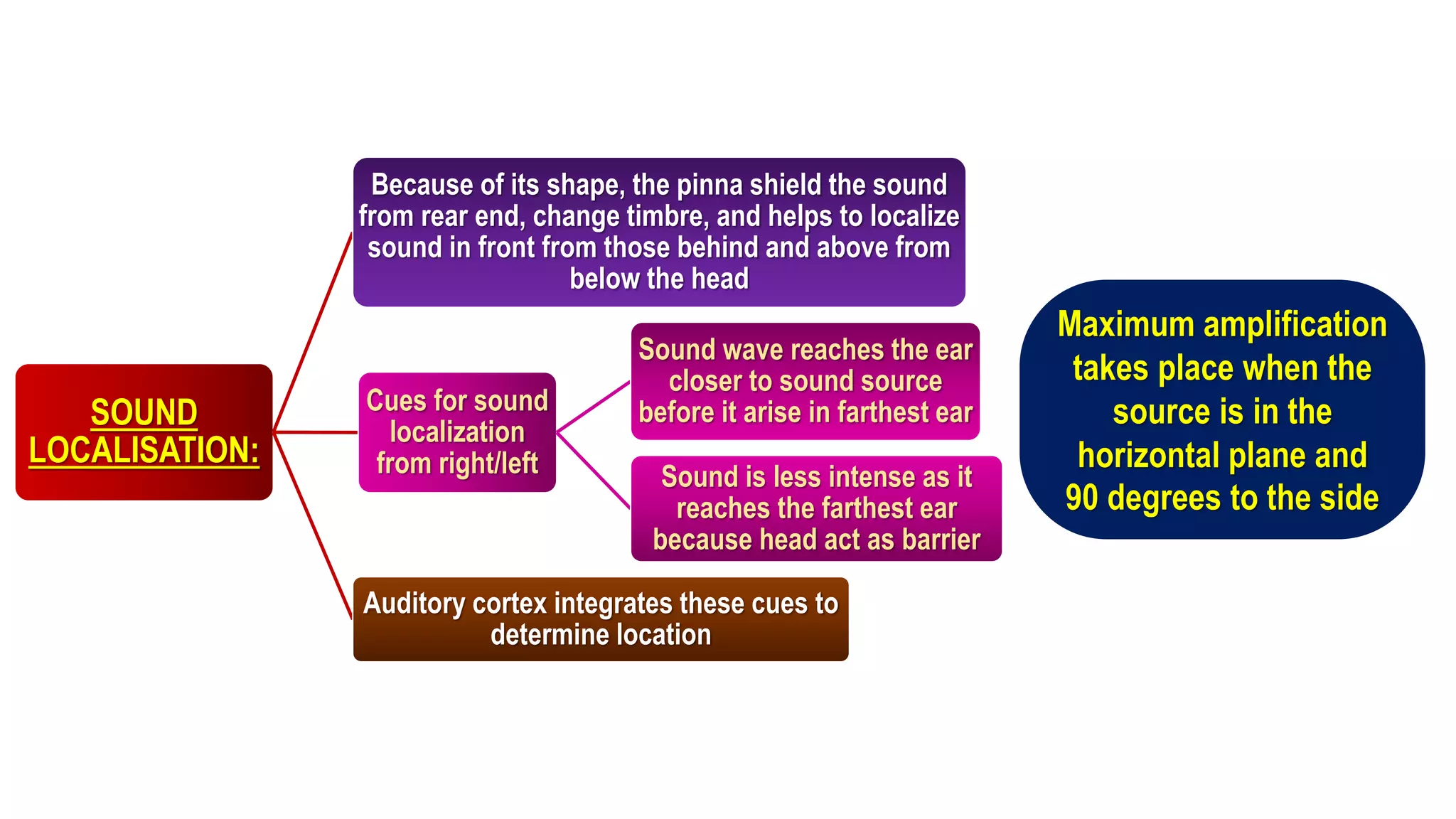 PHYSIOLOGY OF HEARING.pptx | Digital Audio | Computer Software and Applications