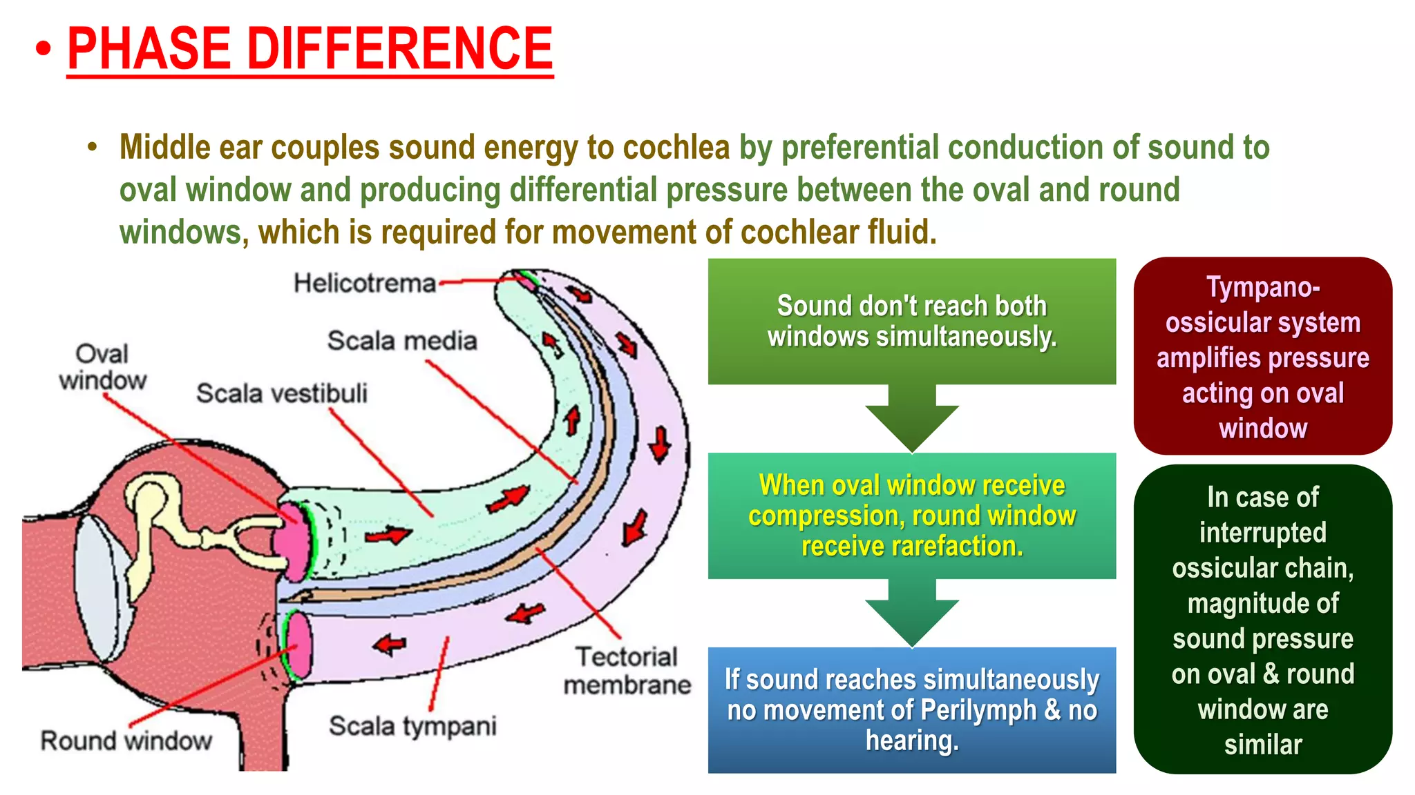 PHYSIOLOGY OF HEARING.pptx