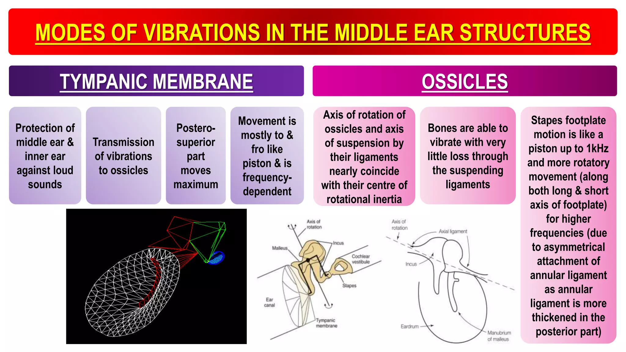 PHYSIOLOGY OF HEARING.pptx