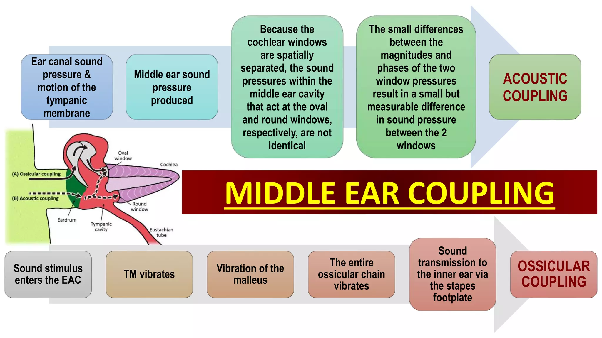 PHYSIOLOGY OF HEARING.pptx