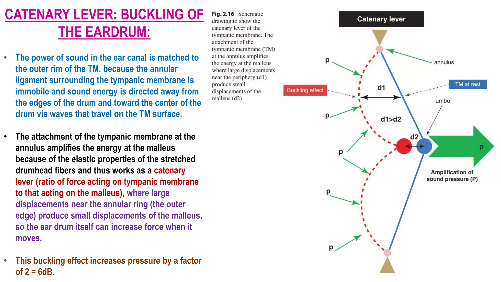 PHYSIOLOGY OF HEARING.pptx