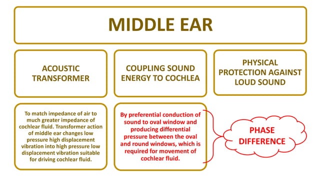 PHYSIOLOGY OF HEARING.pptx | Digital Audio | Computer Software and Applications
