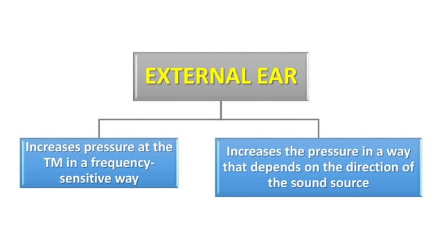PHYSIOLOGY OF HEARING.pptx | Digital Audio | Computer Software and Applications