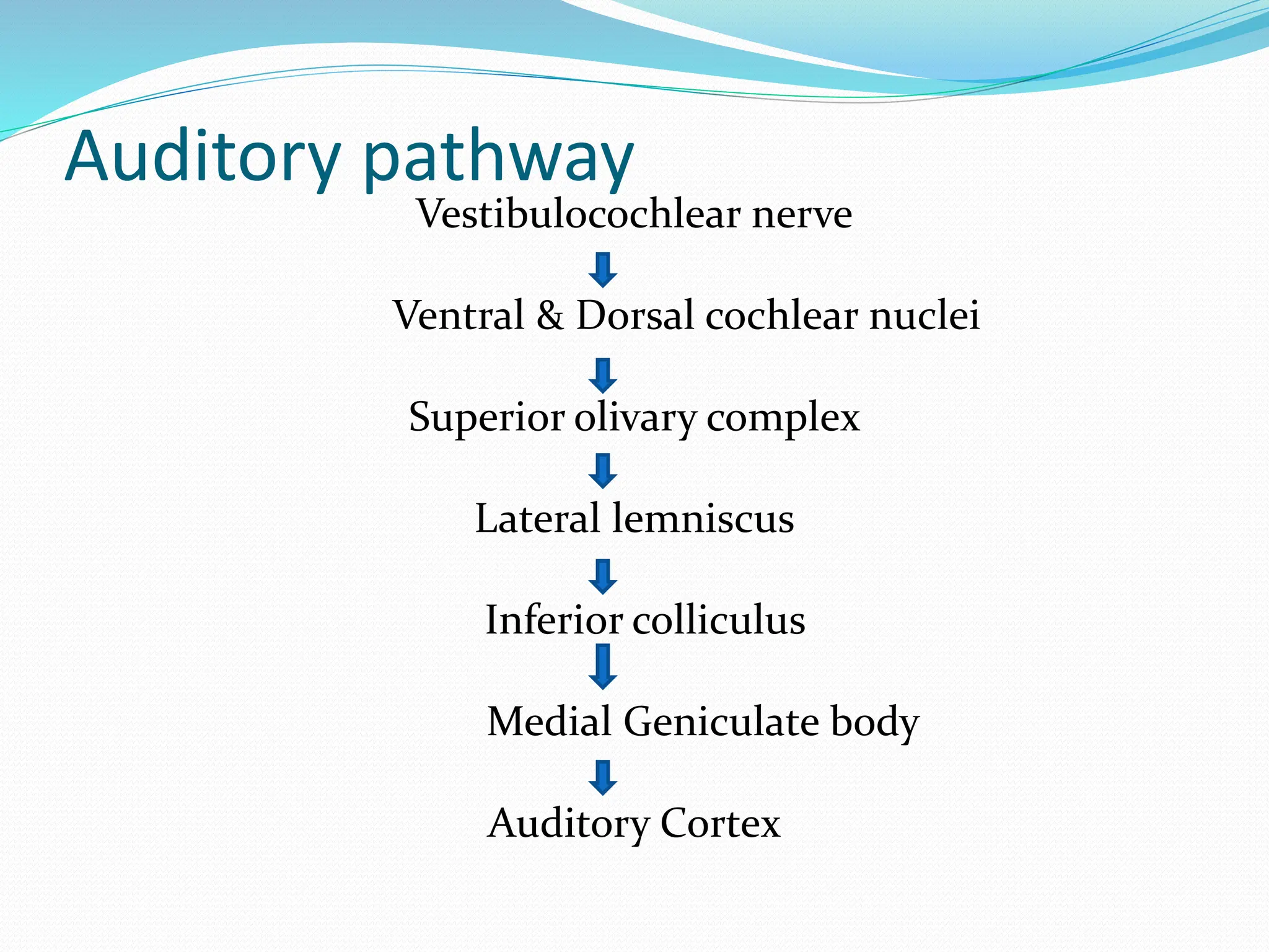 PHYSIOLOGY OF HEARING and its investigation and treatment and hearing ...