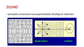 physiology of sound hearing and balance.pptx