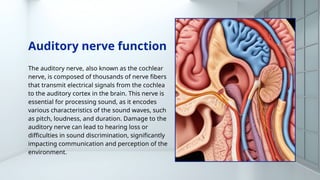 Physiology of Hearing/ENT Basics presentation | PPTX