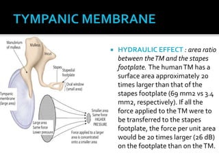 PHYSIOLOGY OF HEARING-ARNAV.pptx