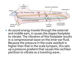 PHYSIOLOGY OF HEARING-ARNAV.pptx