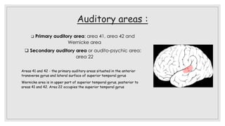 physiology_of_hearing_1638353973.pdf ear | PPT