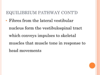 physiology of hearing and balance.pdf
