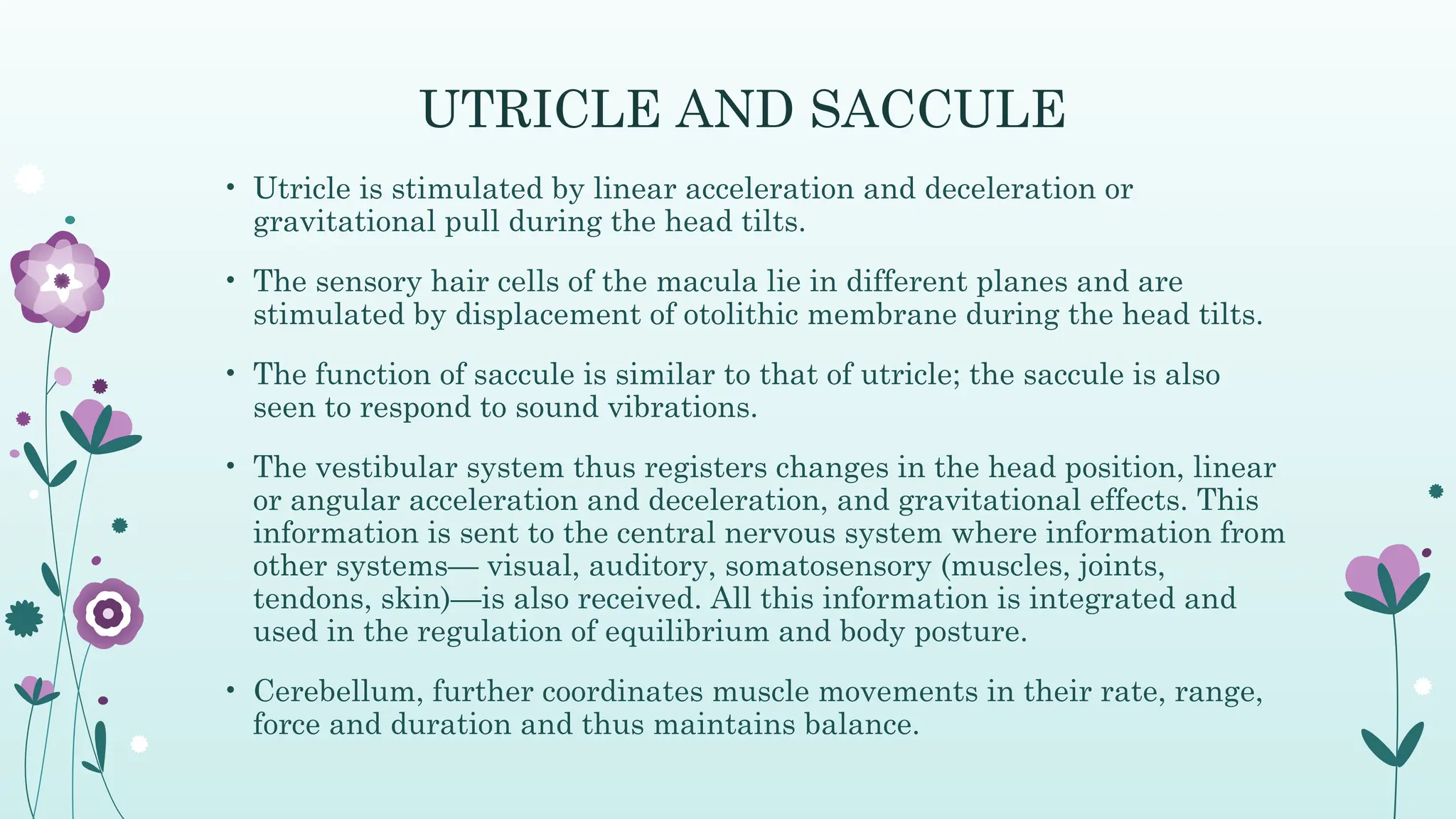 Physiology of hearing and vestibular system.pptx
