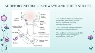 Physiology of hearing and vestibular system.pptx