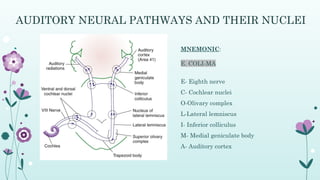 Physiology of hearing and vestibular system.pptx