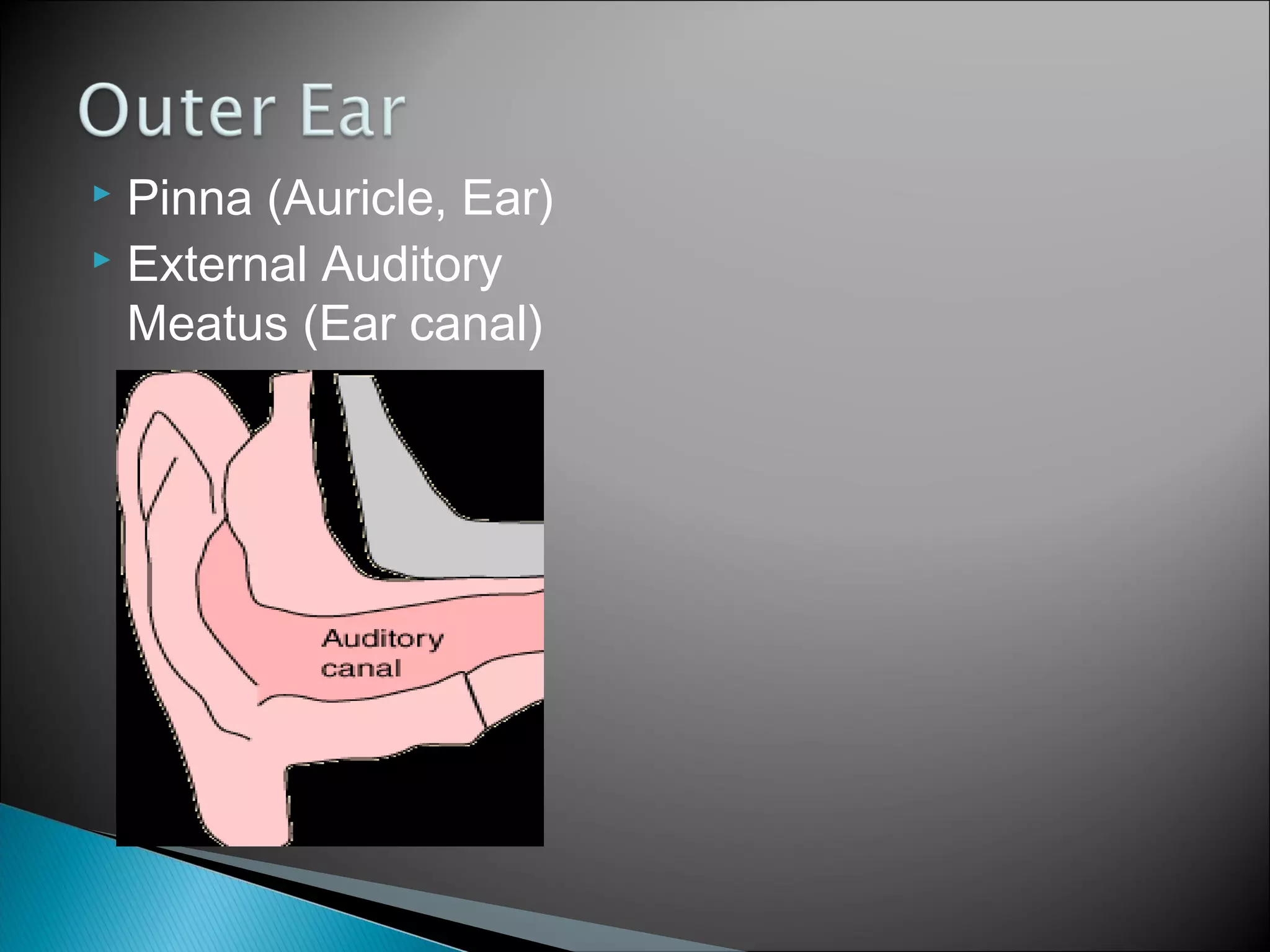 Physiology of hearing & approach to hearing loss in a child | PPT