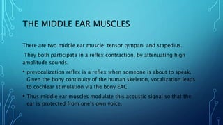 Physiology of hearing [autosaved] | PPT