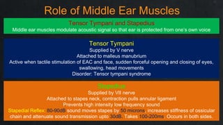 Physiology of Hearing by Dr. Sudin Kayastha | PPTX