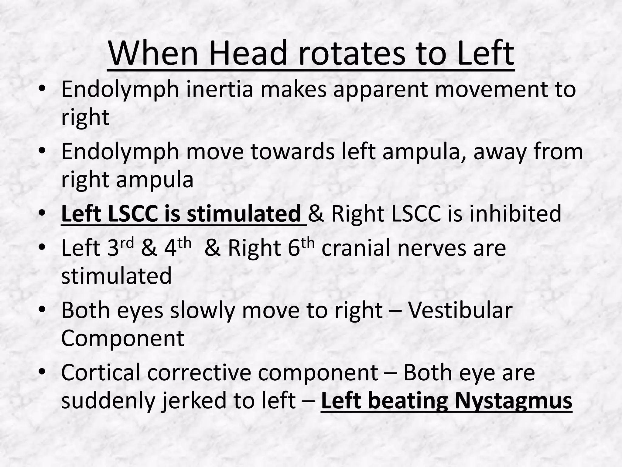 Physiology of Equilibrium | PPTX