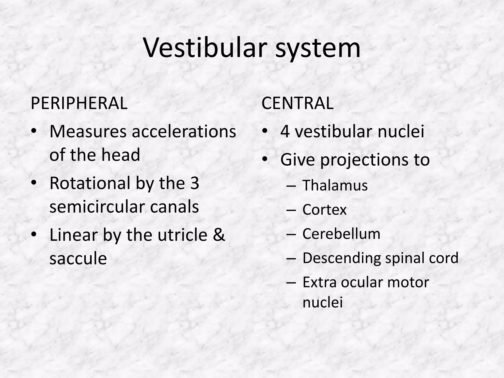 Physiology of Equilibrium | PPTX
