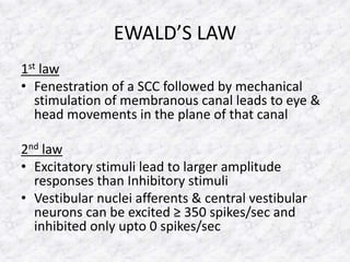 Physiology of Equilibrium | PPT