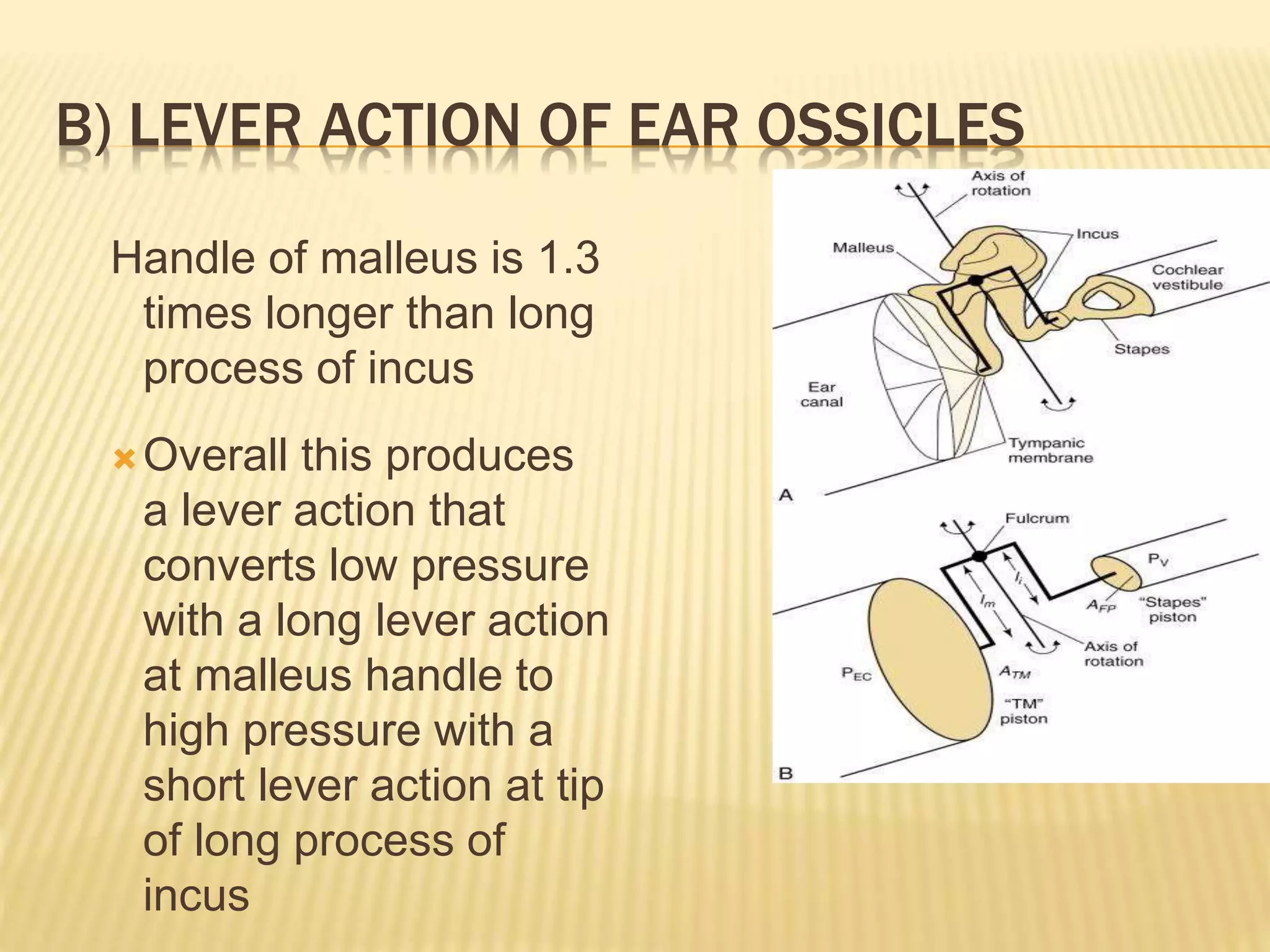 Physiology of hearing ppt | PPTX