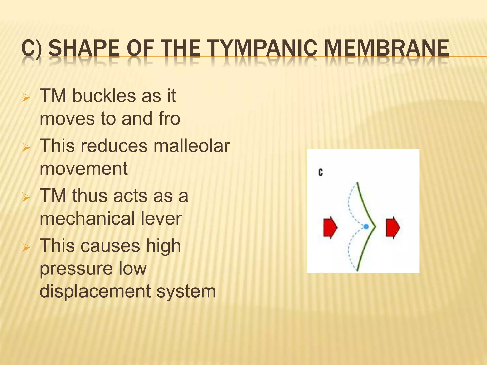 Physiology of hearing ppt | PPTX