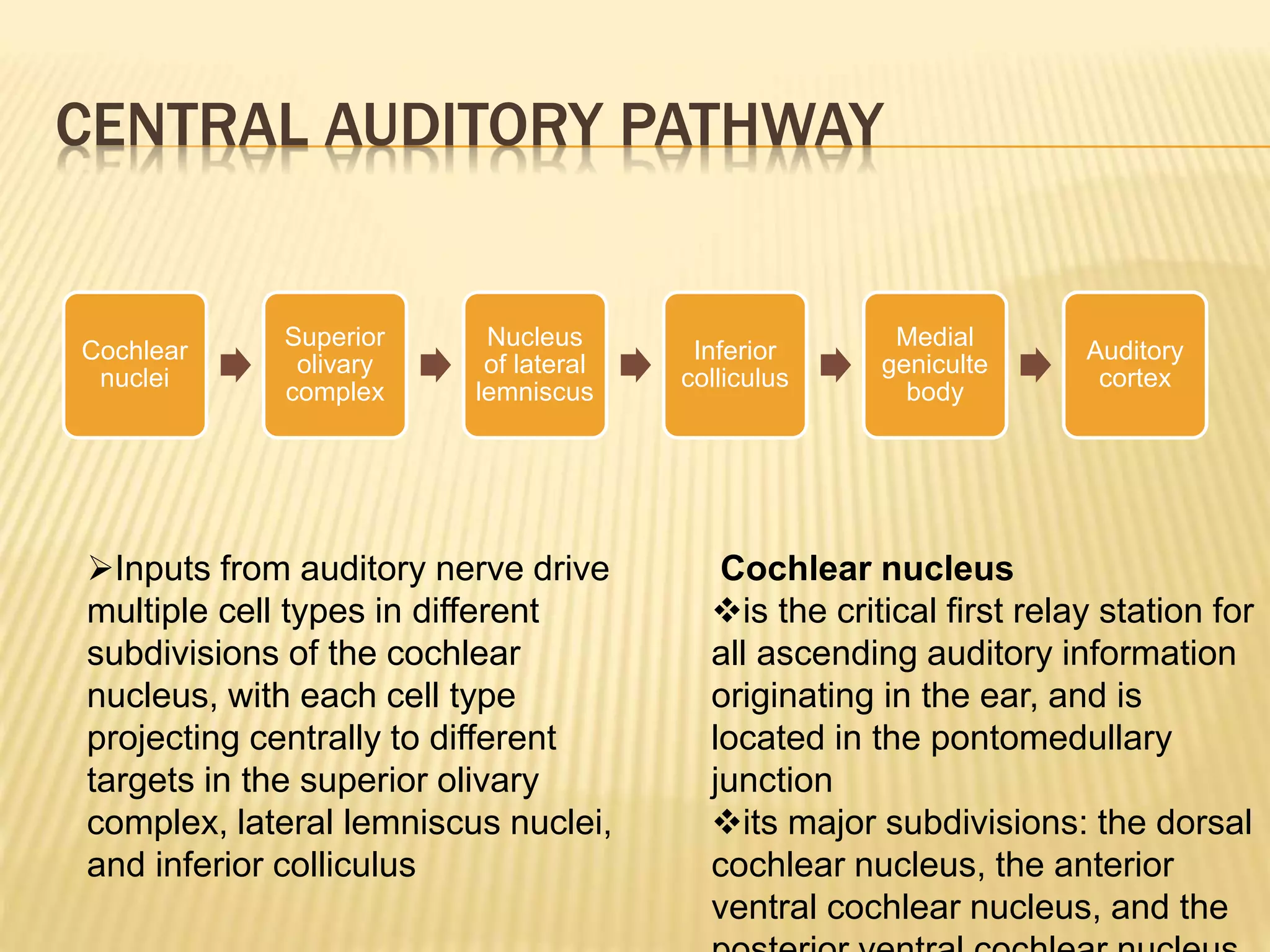 Physiology of hearing ppt | PPTX