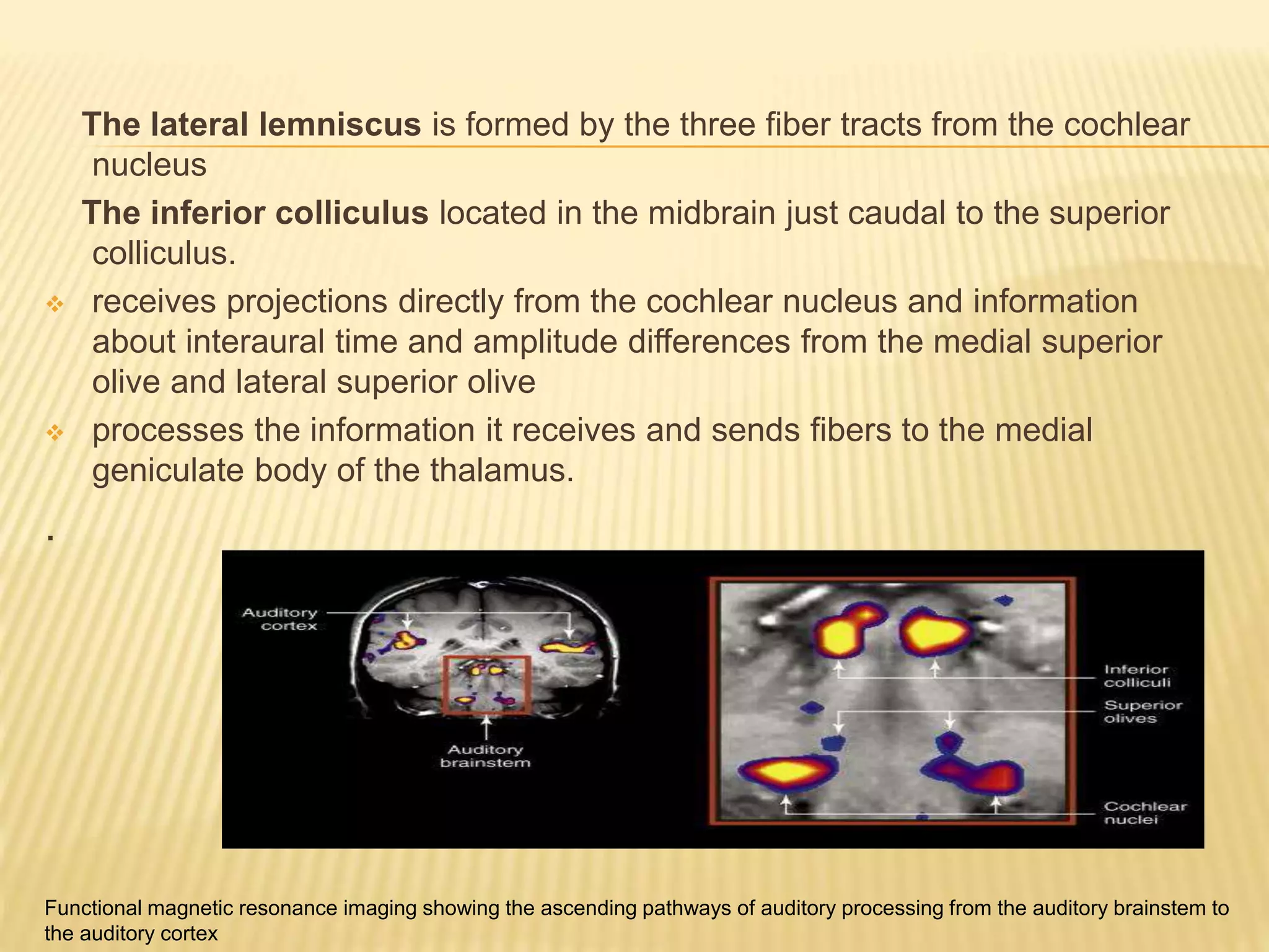 Physiology of hearing ppt | PPTX