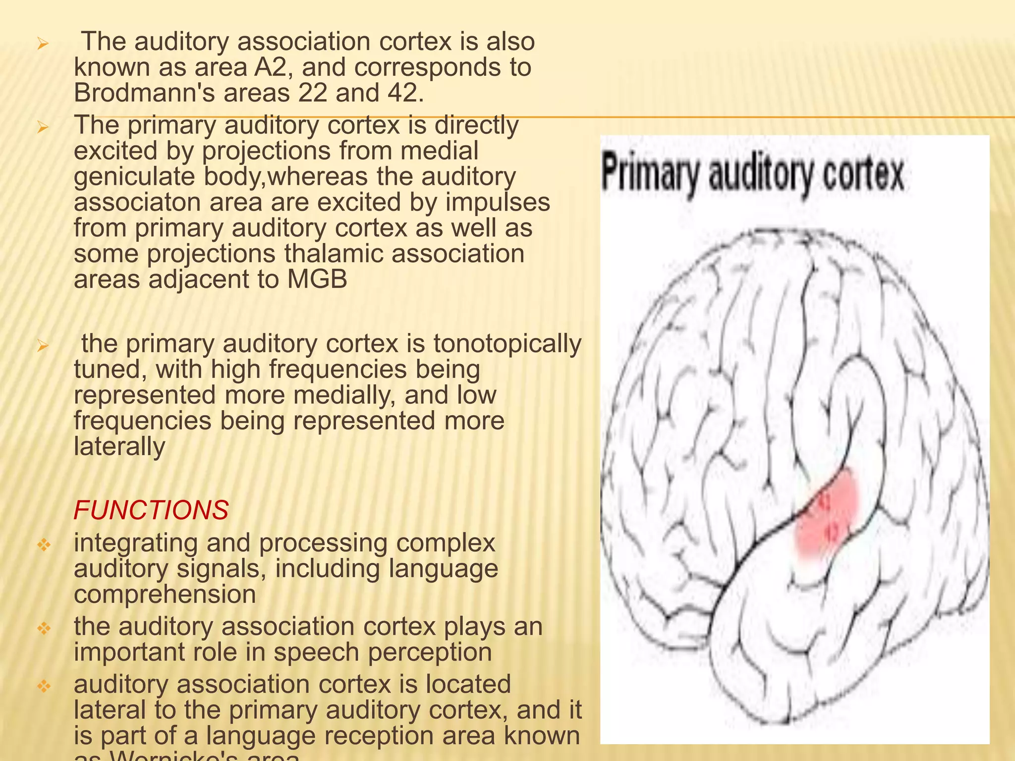 Physiology of hearing ppt | PPTX