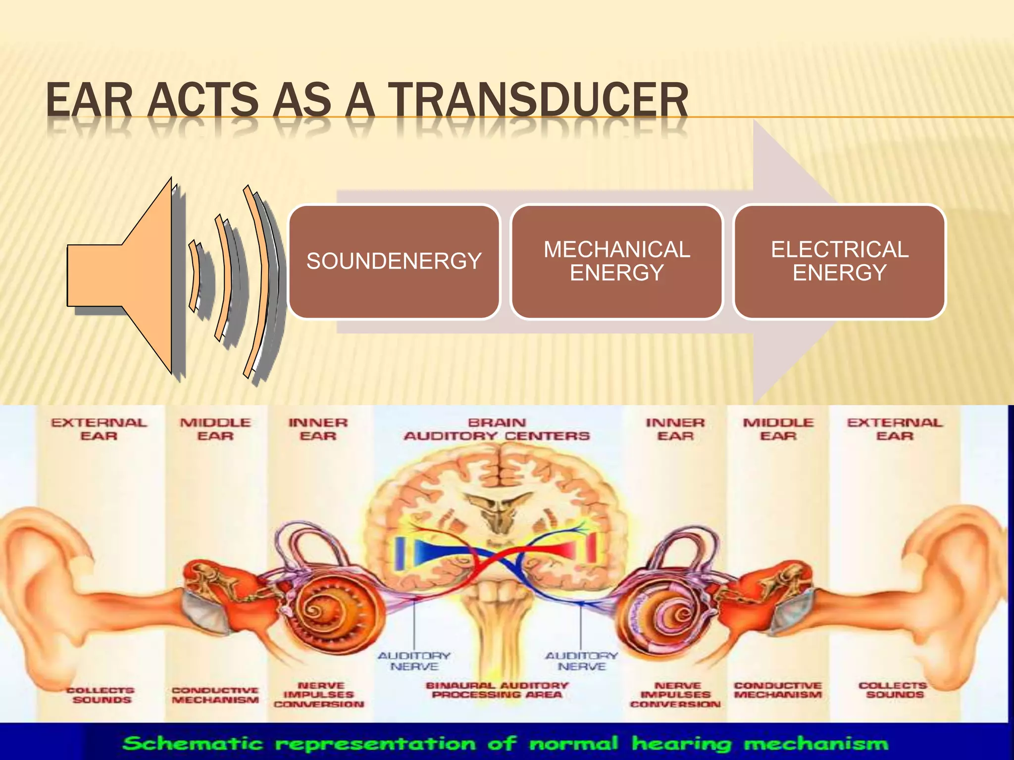 Physiology of hearing ppt | PPTX