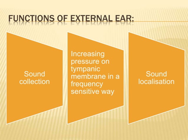 Physiology of hearing ppt | PPTX