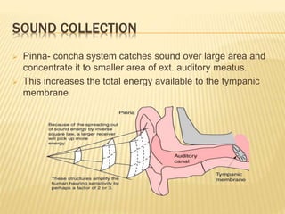 Physiology of hearing ppt | PPTX