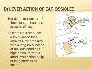 Physiology of hearing ppt | PPTX